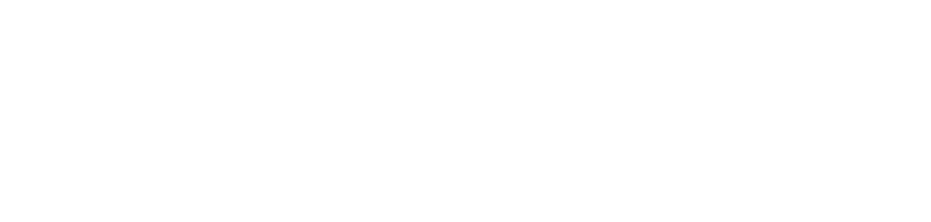 Pink Fund Grant Application